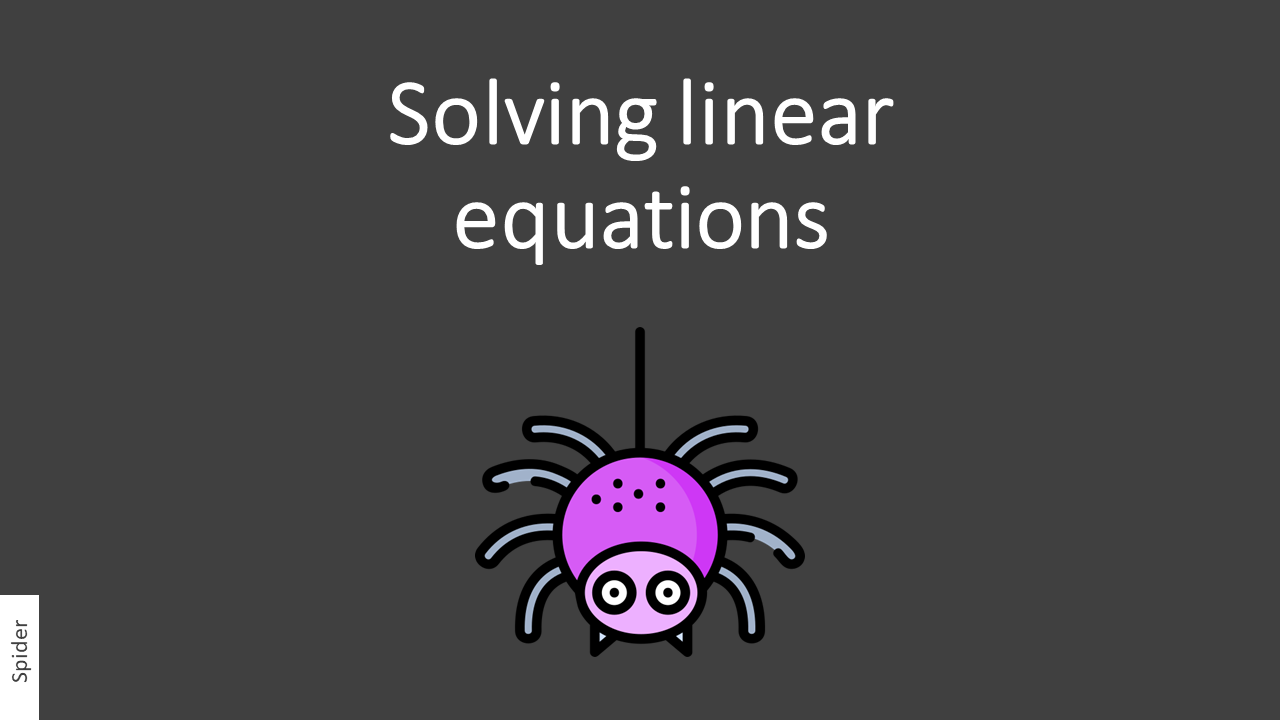 Activity type 5: Spider – Variation Theory
